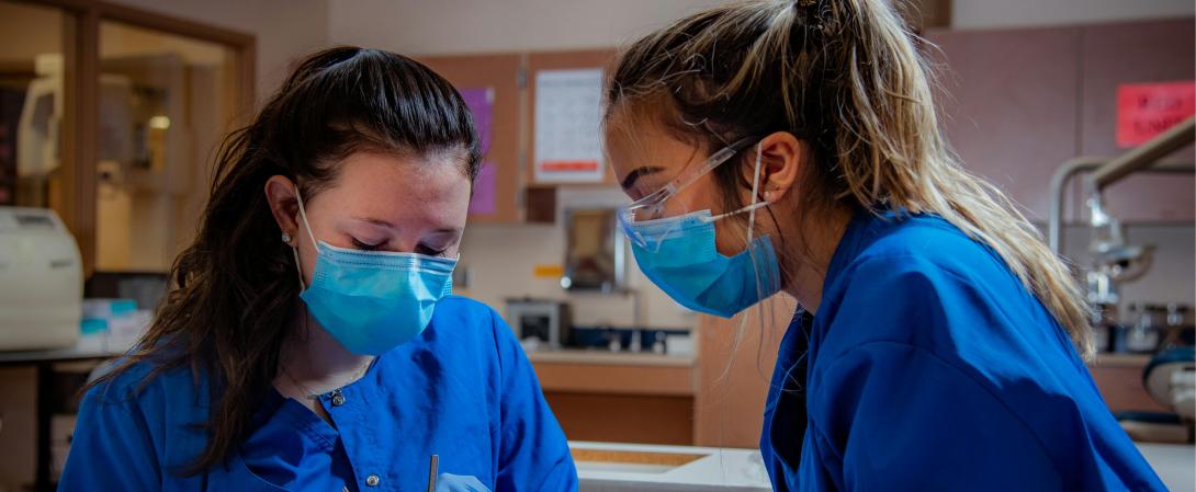 Medical work experience vs medical electives | Projects Abroad UK